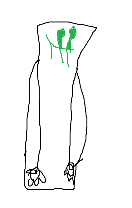 Entity 70 | Brorooms Wiki | Fandom