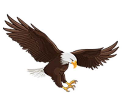 Eagle | Bro Simulator Wiki | Fandom