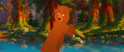 Forest | Brother Bear Wiki | Fandom