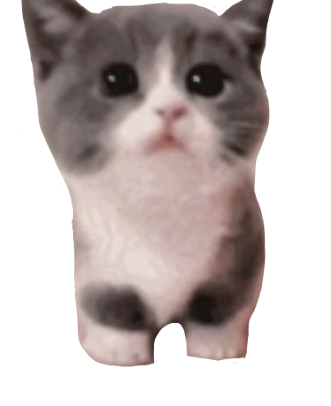 Kat | Bruh lands Wiki | Fandom