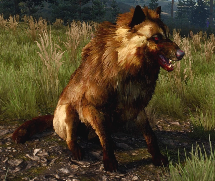 Huargo | Wiki The Witcher | Fandom