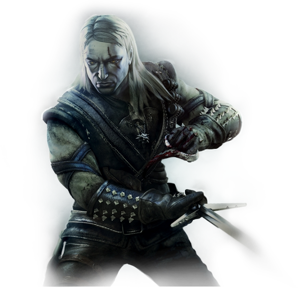 Brujo | Wiki The Witcher | Fandom
