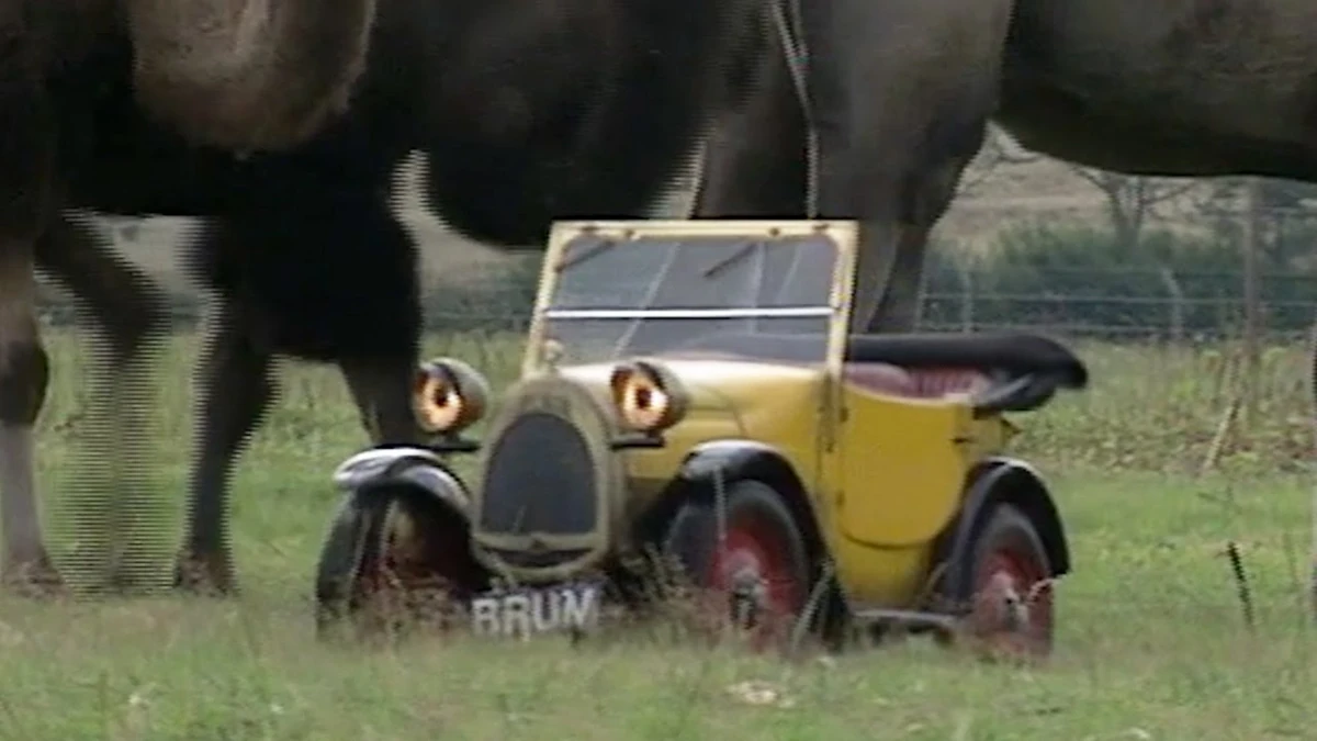 Brum on Safari | Brum Wiki | Fandom