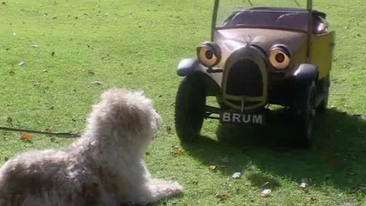 Brum and the Naughty Dog (2001) | Brum Wiki | Fandom