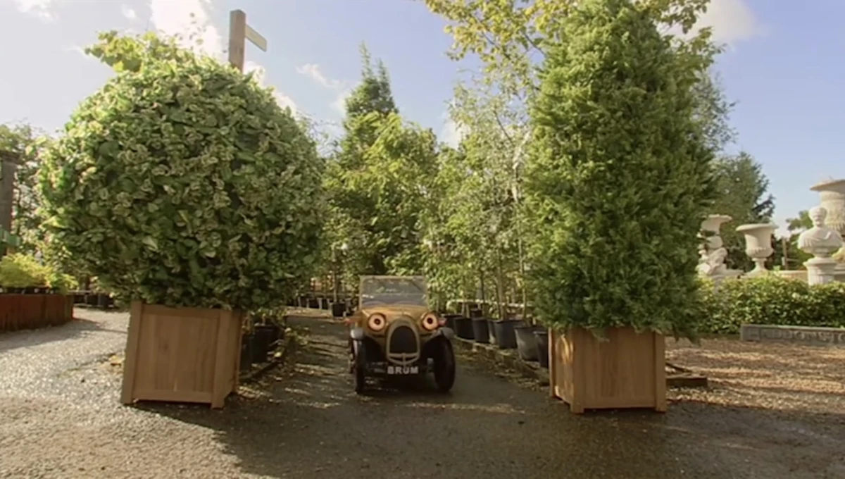 Bushes on the Run | Brum Wiki | Fandom