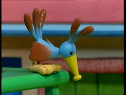 Bird Bob The Builder