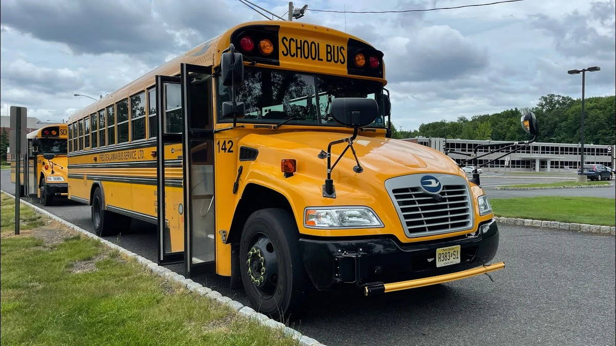 Bus Simulator Beta | Btc Mega Wiki | Fandom