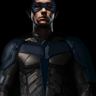 Dick Grayson | BTM Wiki | Fandom