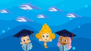 Hey Dolphin!/Images | Bubble Guppies Wiki | Fandom