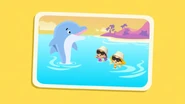Hey Dolphin!/Images | Bubble Guppies Wiki | Fandom