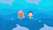 Hey Dolphin!/Images | Bubble Guppies Wiki | Fandom
