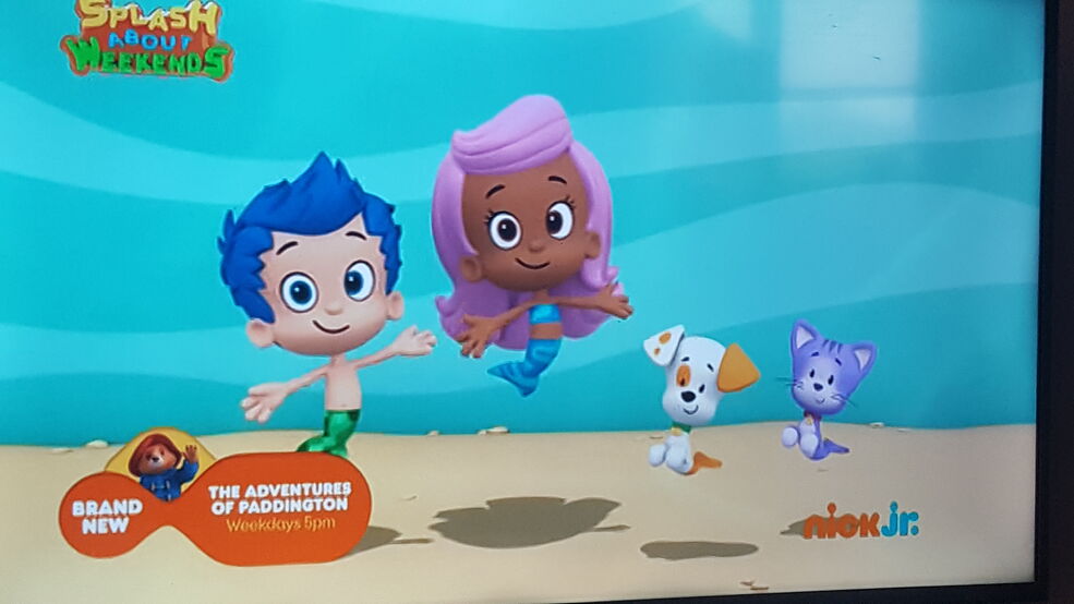 Bubble Kitty Gallery Bubble Guppies Wiki Fandom