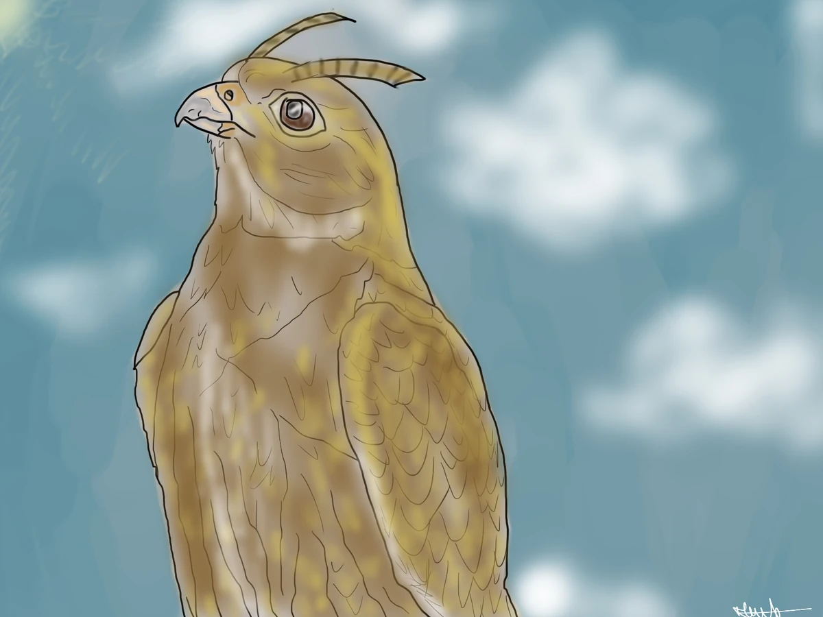 Chelen | Buch der Legenden Wiki | Fandom