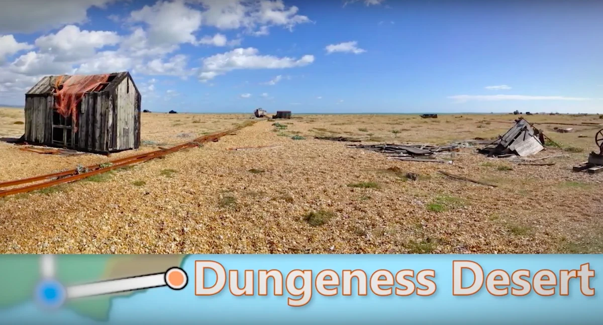 desert dungeness
