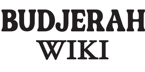 The Conversations World Tour | Budjerah Wiki | Fandom