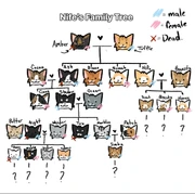 Nife | Official Budsforbuddies Wiki | Fandom