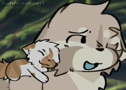 Scrappy | Official Budsforbuddies Wiki | Fandom