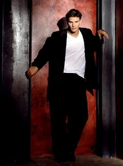 Buffy The Vampire Slayer Angel