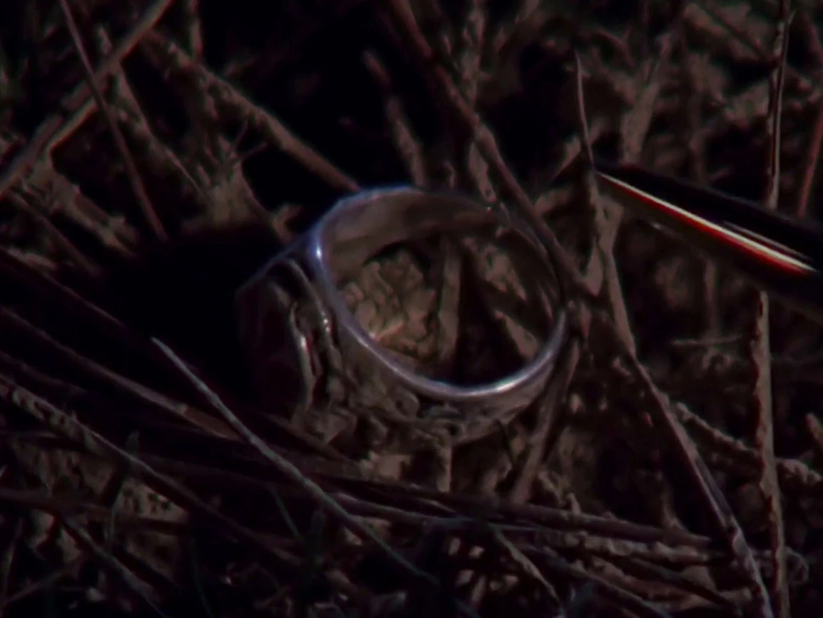 Order of Aurelius's ring | Buffyverse Wiki | Fandom