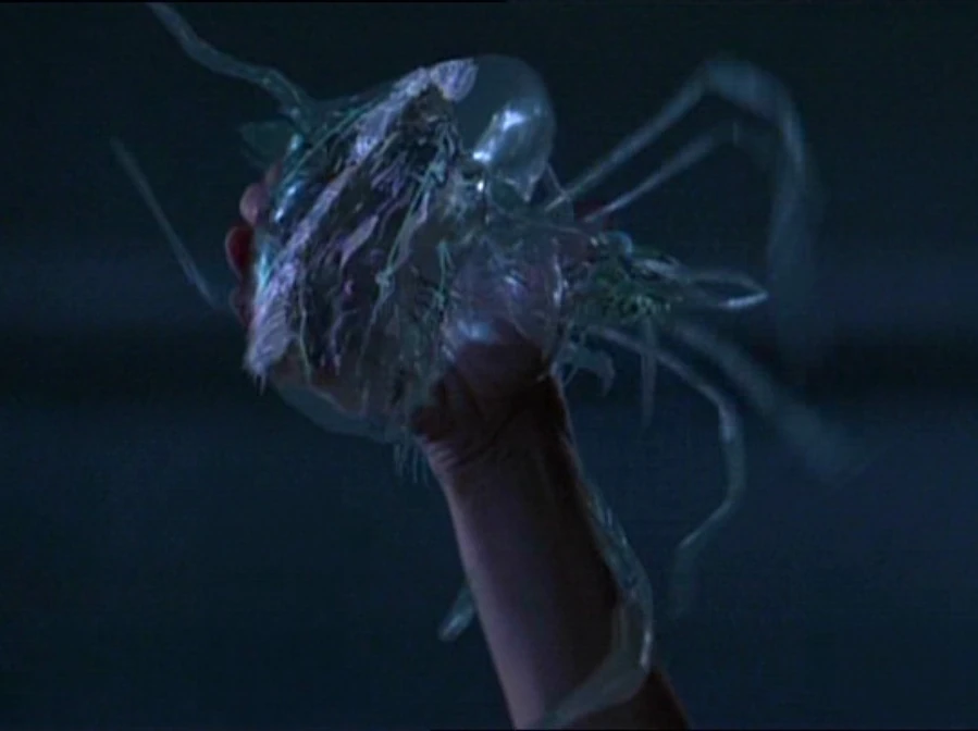 Sluk | Buffyverse Wiki | Fandom