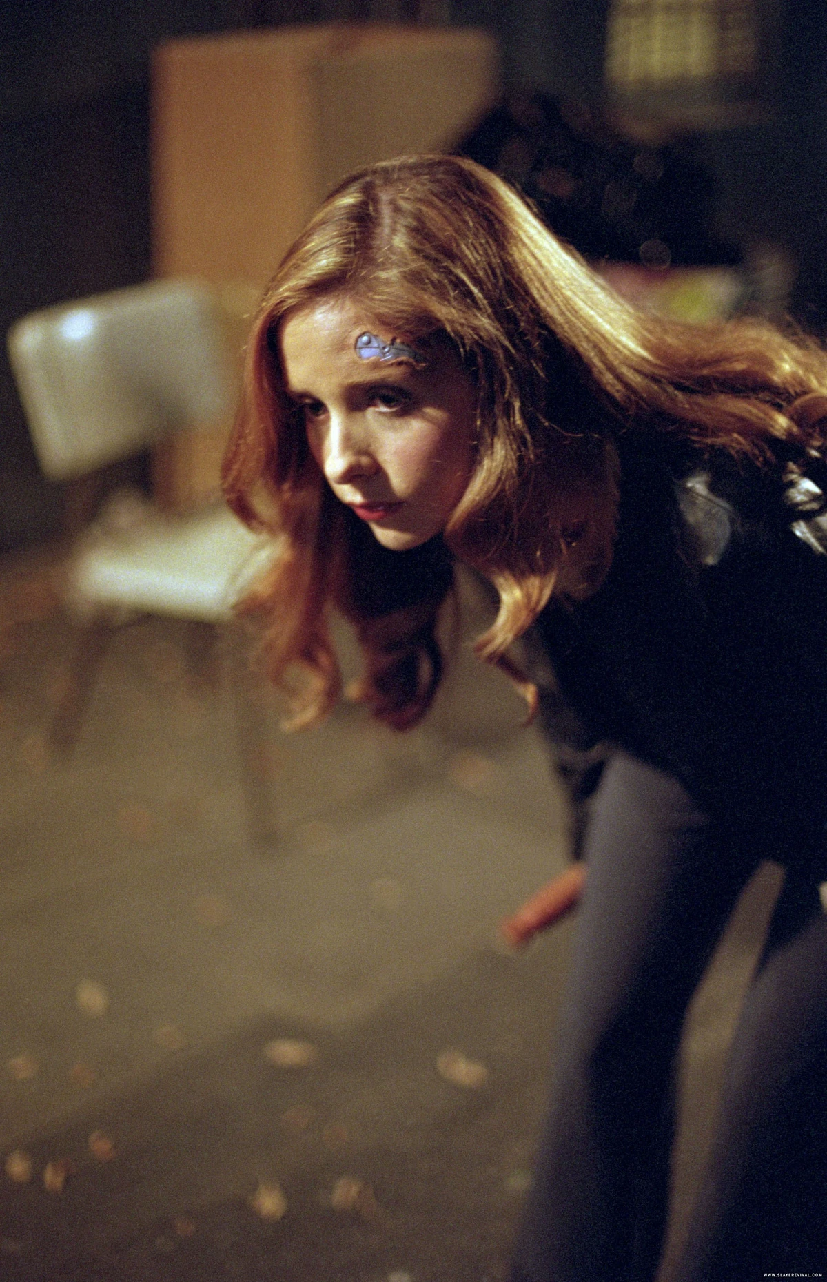 Buffybot | Wiki Buffyverse | Fandom