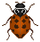 Convergent Ladybug | Bug & Seek Wiki | Fandom