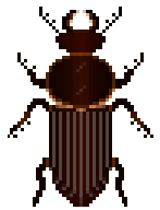 Bess Beetle | Bug & Seek Wiki | Fandom
