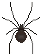 Black Widow | Bug & Seek Wiki | Fandom
