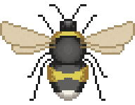 Bumble Bee | Bug & Seek Wiki | Fandom