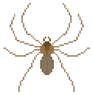 Brown Recluse | Bug & Seek Wiki | Fandom