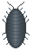 Common Pillbug | Bug & Seek Wiki | Fandom