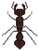 Bullet Ant | Bug & Seek Wiki | Fandom