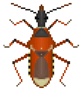 Assassin Bug | Bug & Seek Wiki | Fandom