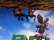 Bee | Bugdom Wiki | Fandom