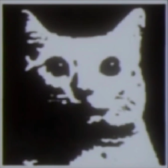 vhs cat | Bugget's Nextbots Wiki | Fandom