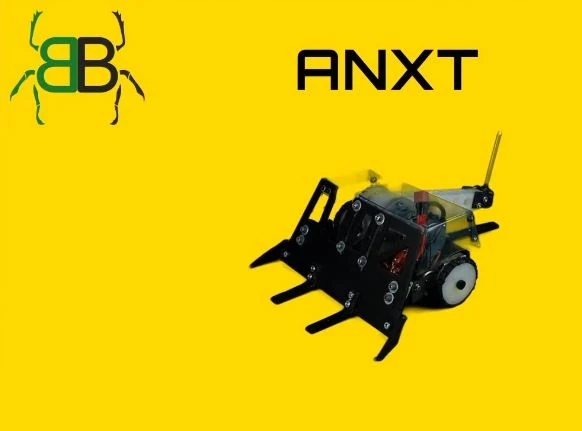 Anxt | Bugglebots Wiki | Fandom