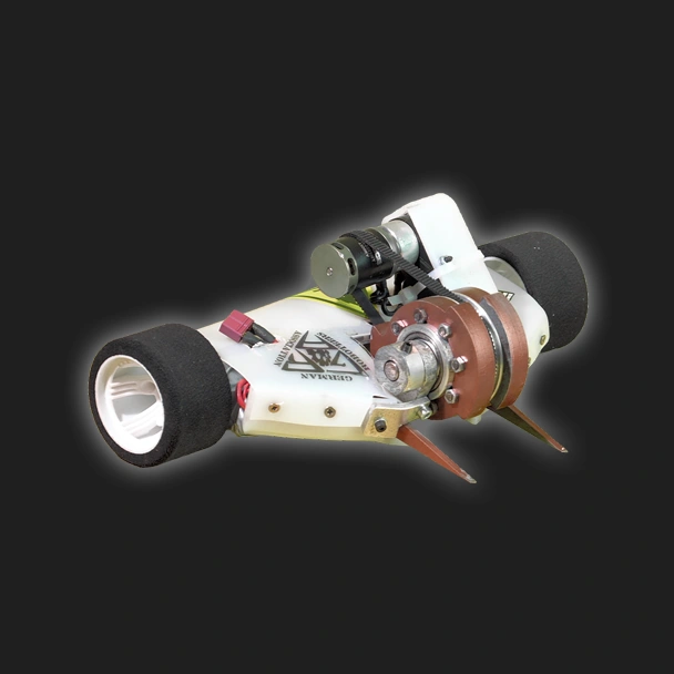 Phoenix | Bugglebots Wiki | Fandom