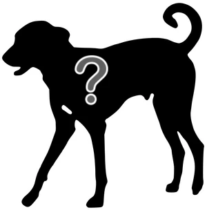 Tash | The Bugle Wiki | Fandom