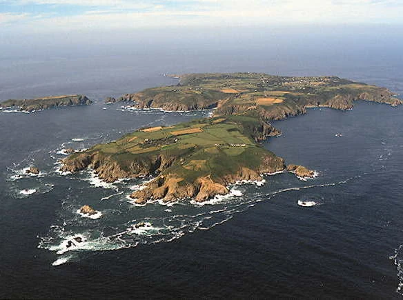 Sark | The Bugle Wiki | Fandom