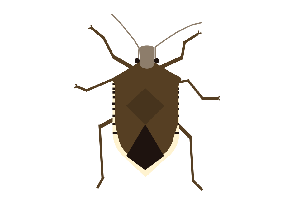 Commander Stink Bug | Bugs Abode Trilogy Wiki | Fandom