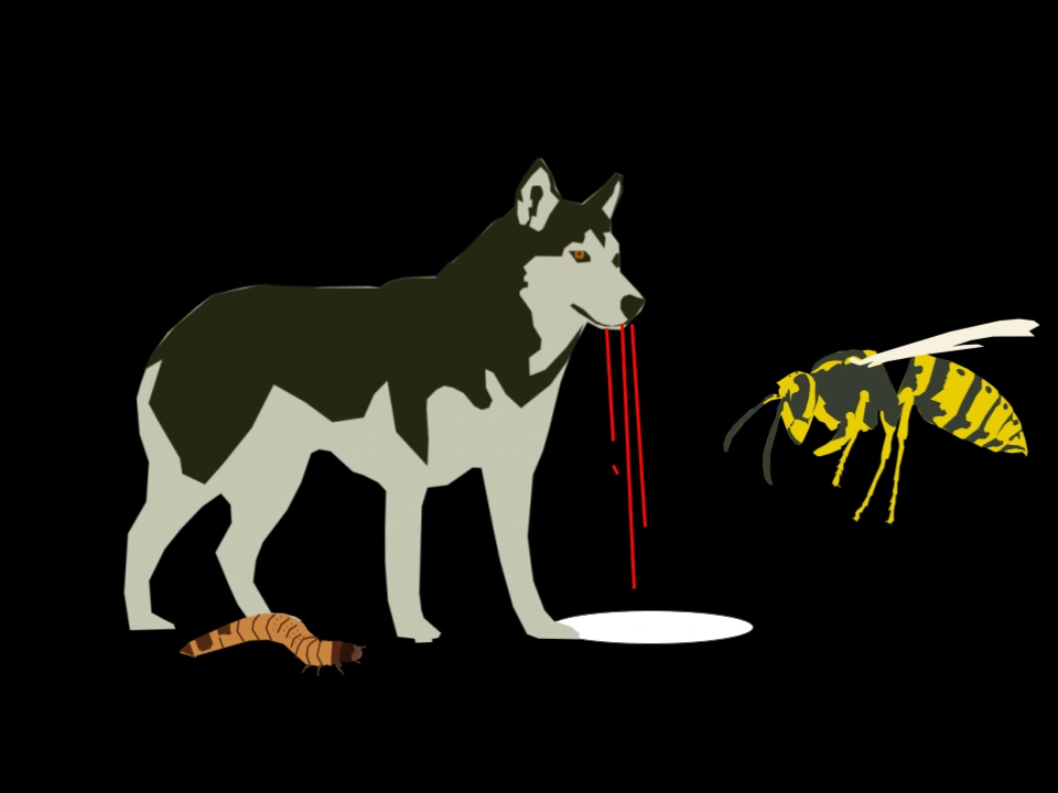 Nothing Land | Bugs Abode Trilogy Wiki | Fandom