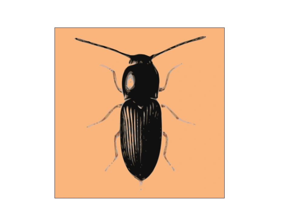 Insect Warriors: Definitive Edition | Bugs Abode Trilogy Wiki | Fandom