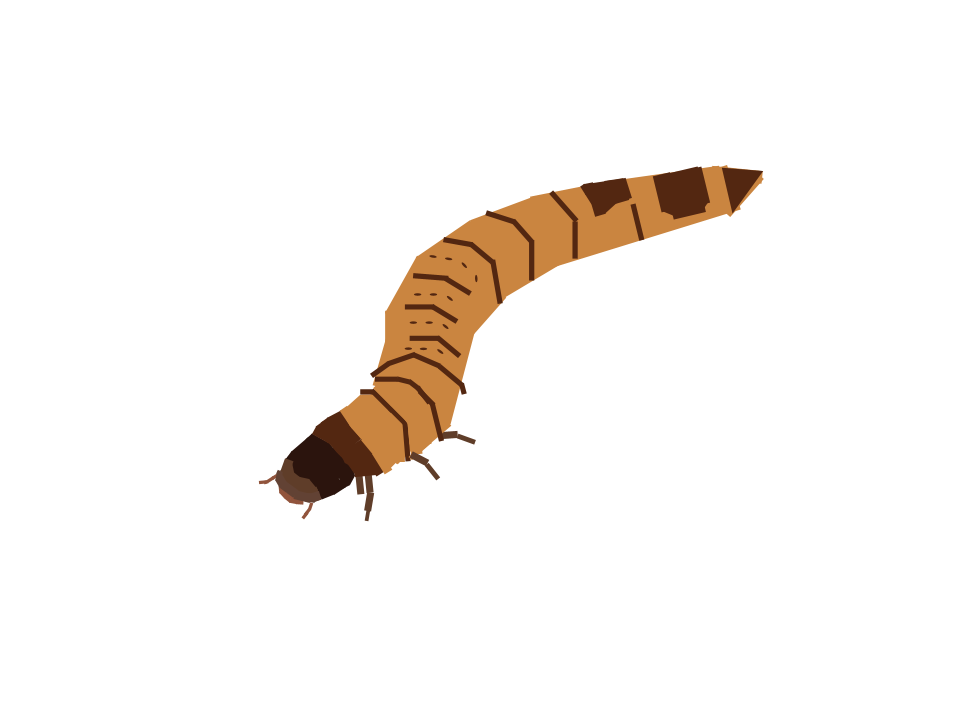 Jeff | Bugs Abode Trilogy Wiki | Fandom