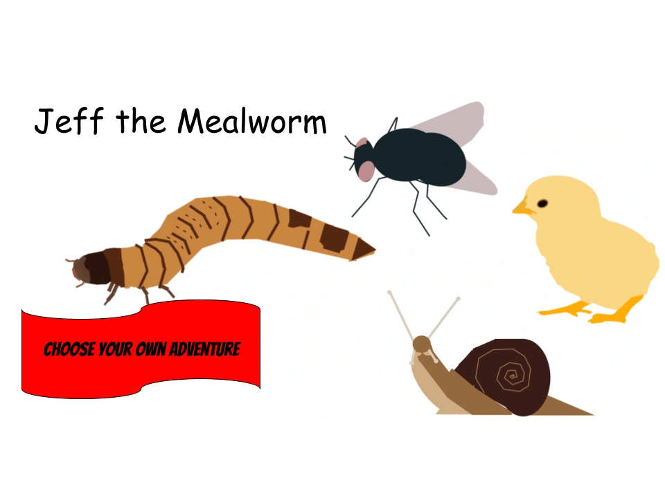 Jeff the Mealworm Book 1 | Bugs Abode Trilogy Wiki | Fandom