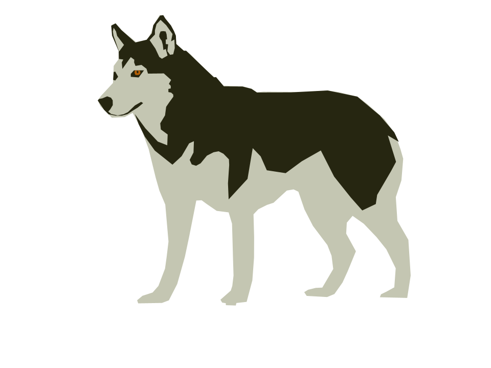 Scout | Bugs Abode Trilogy Wiki | Fandom