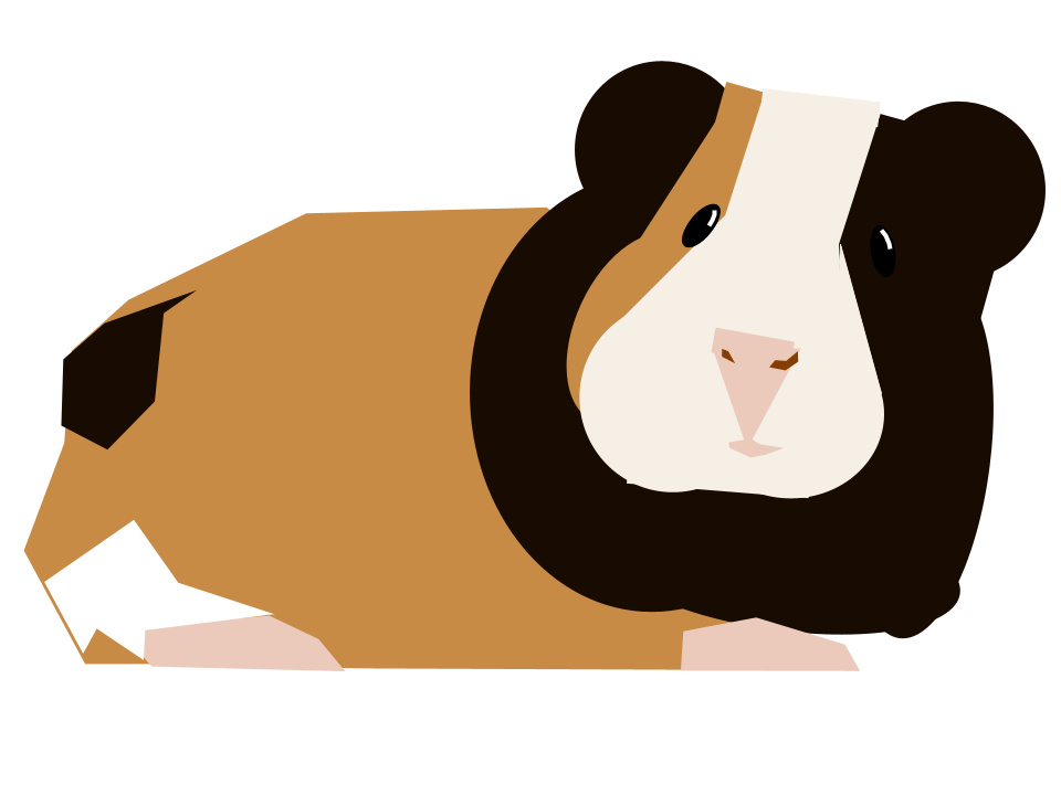 Kung Fu Guinea Pig | Bugs Abode Trilogy Wiki | Fandom