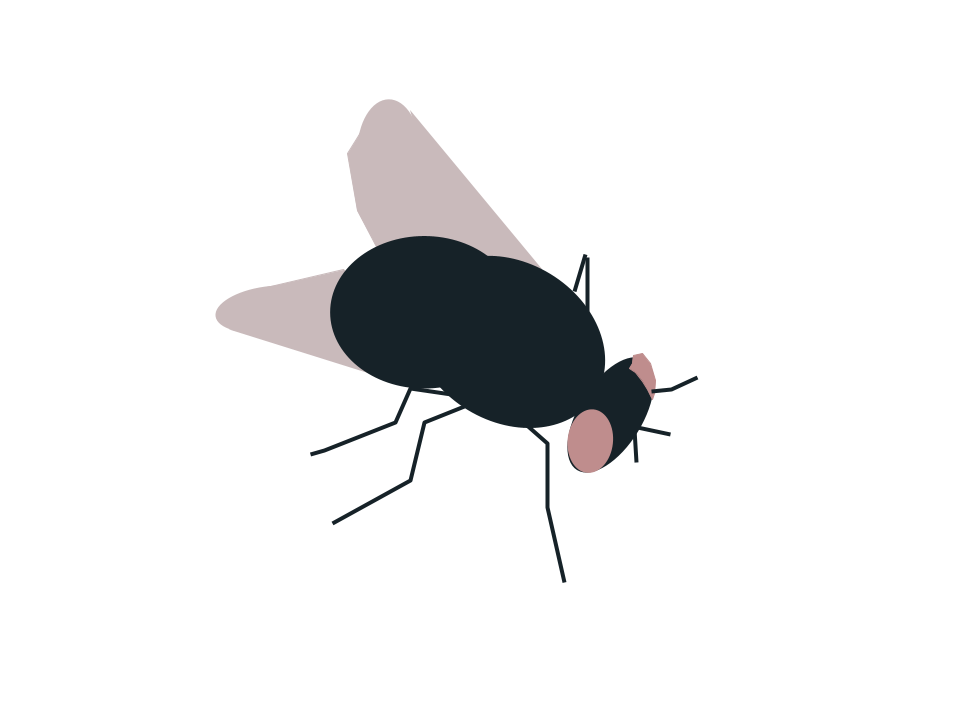 Buzzy | Bugs Abode Trilogy Wiki | Fandom