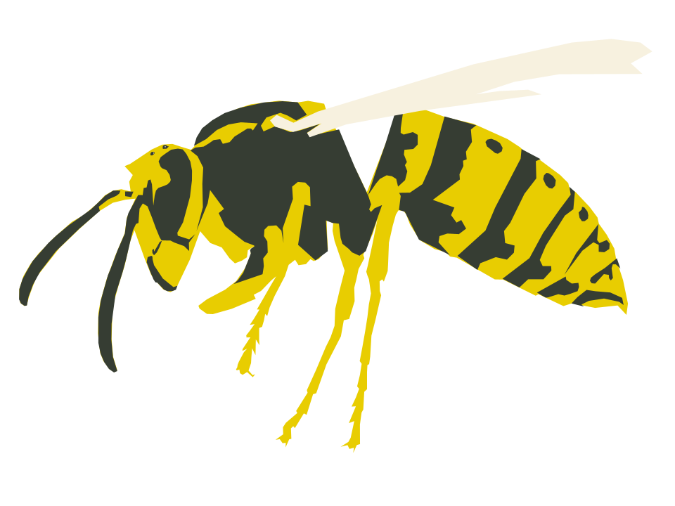 Wild Card | Bugs Abode Trilogy Wiki | Fandom