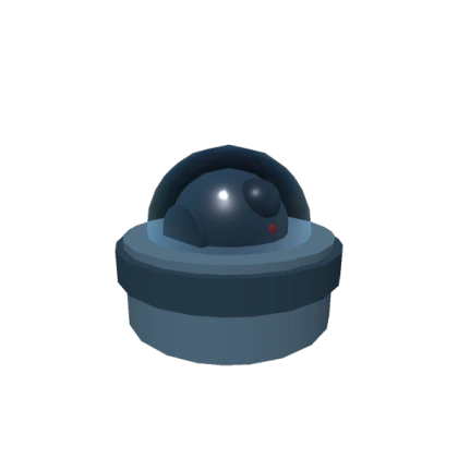 Dome Camera | Build a boat for treasure Wiki | Fandom