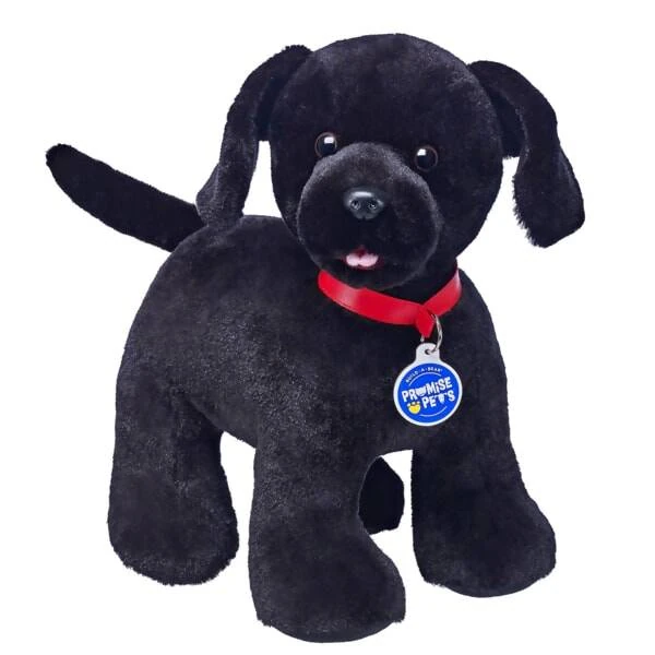 Promise Pets Black Labrador | Build-a-Bear Workshop Wiki | Fandom